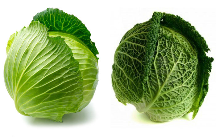 Las coles cuentan con más proteínas que hidratos - Canal mujer